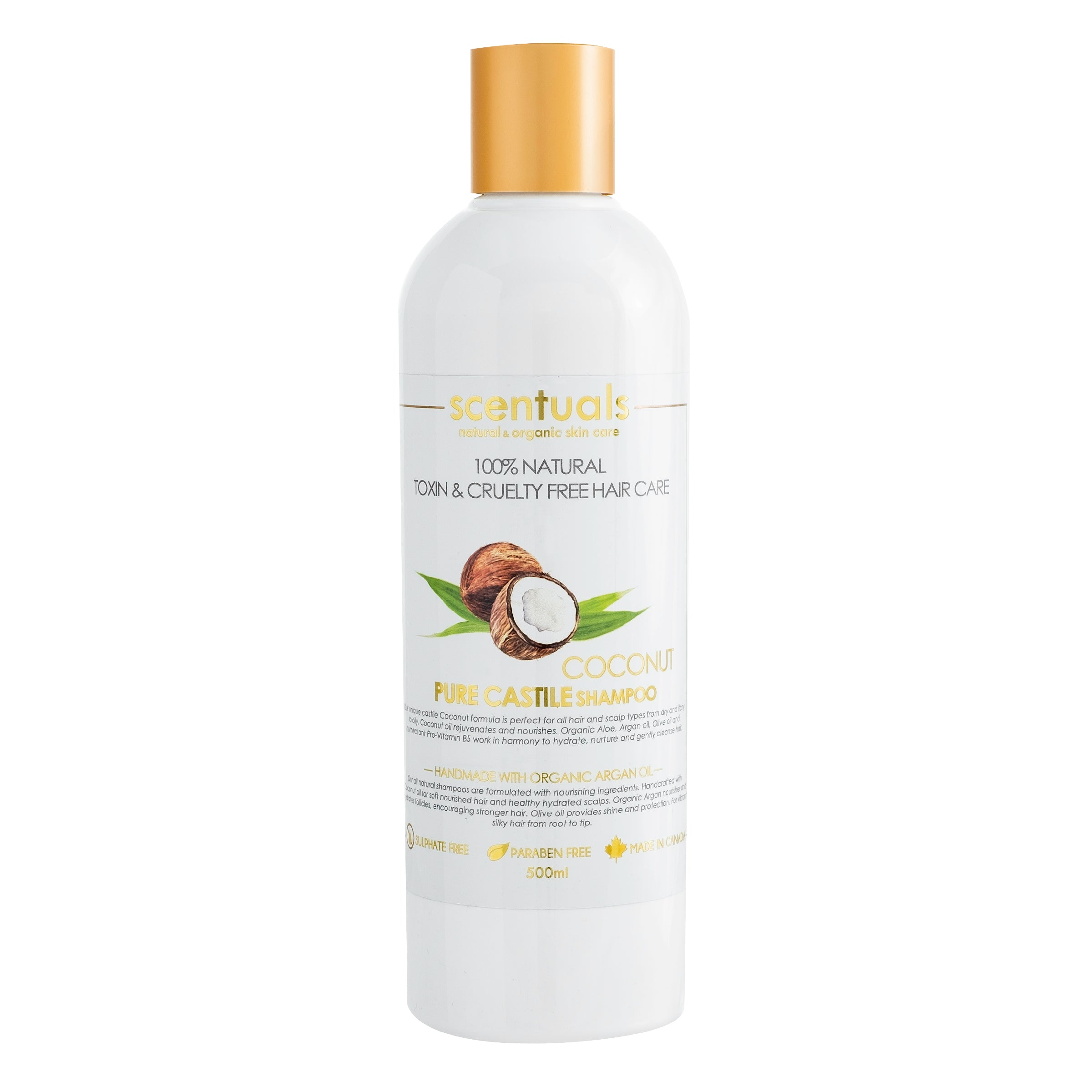 Coconut Shampoo – Tai Beauty Group Wholesale